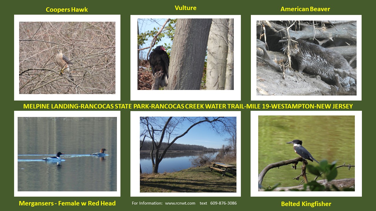 Melpine Landing | Pathways Kayak Rentals and Other Services