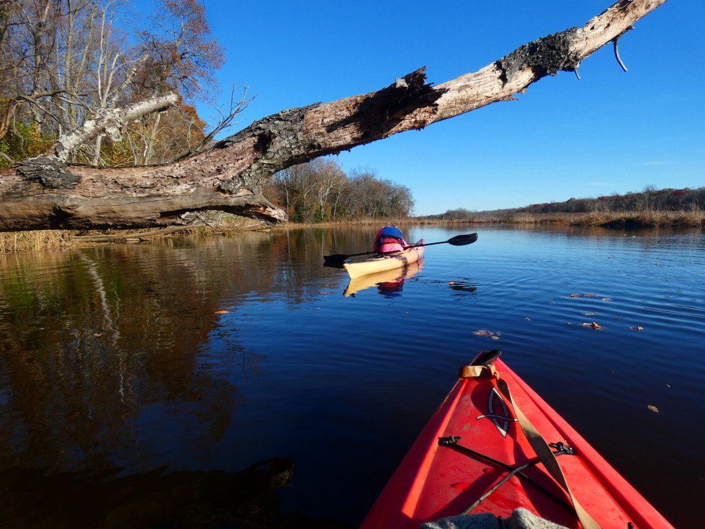cathys photos sunset | Rancocas Pathways, Kayaking/Rentals/Tours and ...