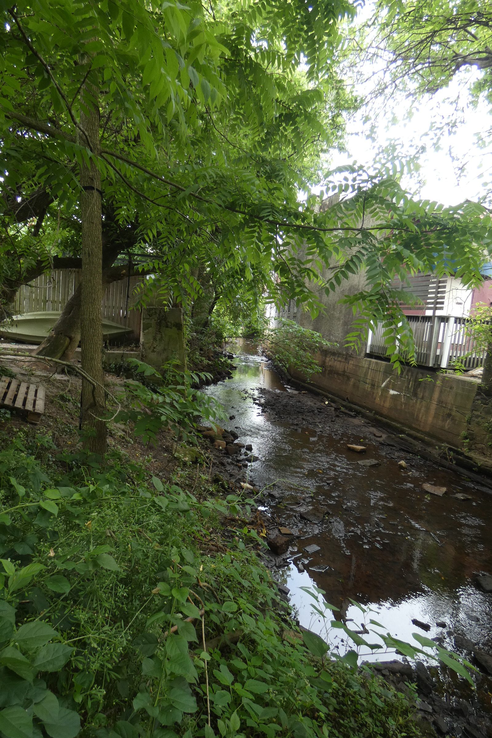 Church Street Eco-Shack Concept w Site photos | Pathways Kayak Rentals ...