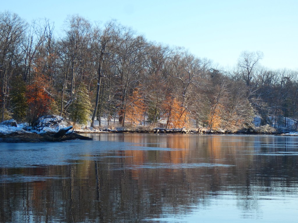Winter Kayaking Mergansers | Rancocas Pathways, Kayaking/Rentals/Tours ...